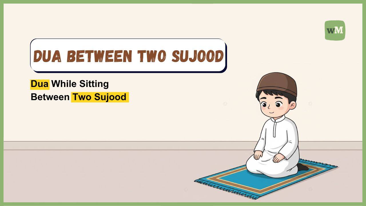 Prayer Sujood Dua – Arabic, English With audio Video